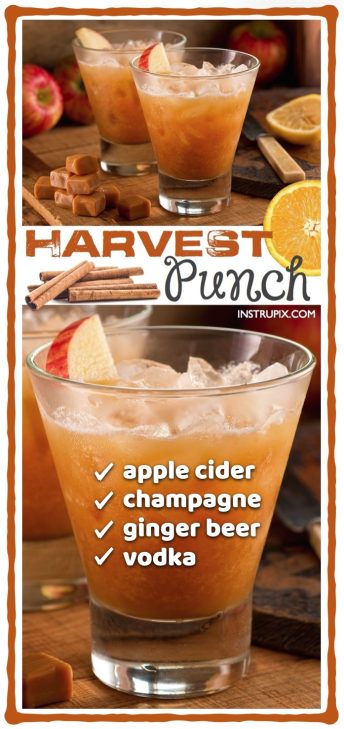 The BEST Fall Punch Recipe For Parties (Simple & Delish!)